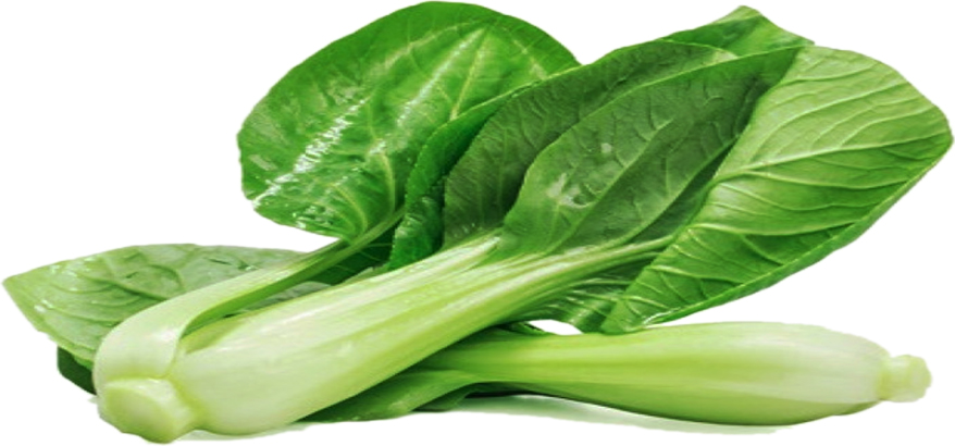 Kandungan Nutrisi dan Manfaat Pakcoy yang Harus Anda Tahu! | Artikel